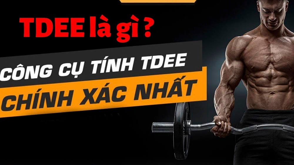 TDEE là gì? Cách tính TDEE giảm cân, giảm mỡ chính xác cho gymer