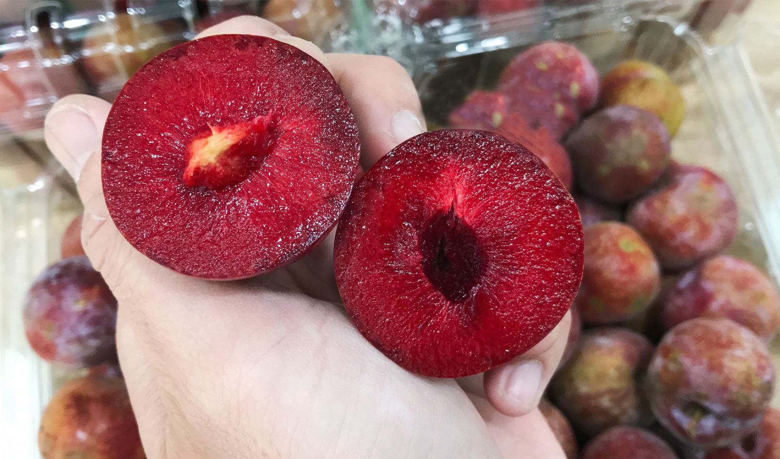 Mận Hà Nội có tác dụng gì? Giá mận Hà Nội bao nhiêu? - META.vn