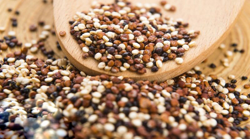 Hạt diêm mạch quinoa là gì, có tác dụng gì? 2 Cách nấu hạt quinoa
