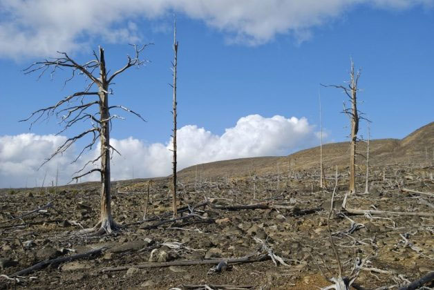 Mưa axit là gì? Mưa axit gây ra hậu quả gì? - META.vn