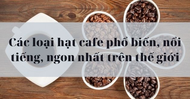 Các loại hạt cafe phổ biến, nổi tiếng, ngon nhất trên thế giới