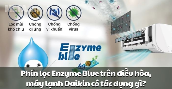 Phin lọc Enzyme Blue trên điều hòa, máy lạnh Daikin có tác dụng gì?
