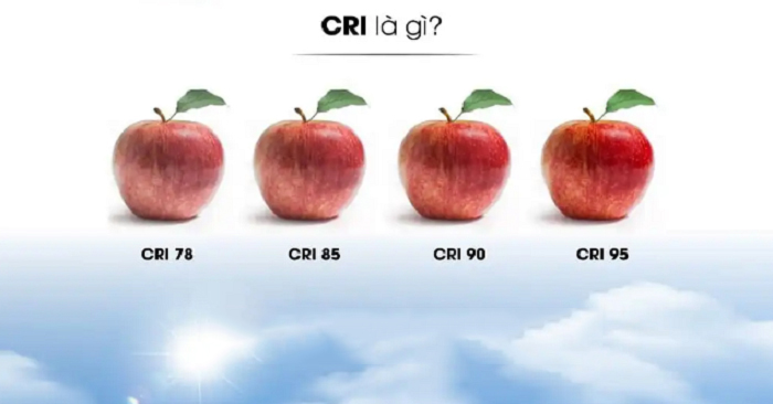 CRI là gì? Tìm hiểu về chỉ số hoàn màu CRI của đèn - META.vn