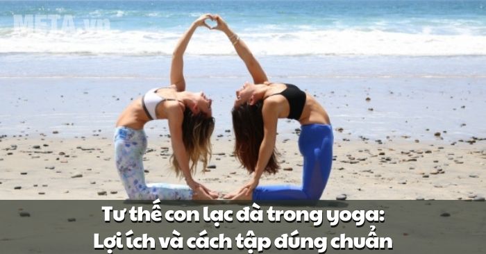 Tư thế con lạc đà trong yoga: Lợi ích và cách tập đúng chuẩn