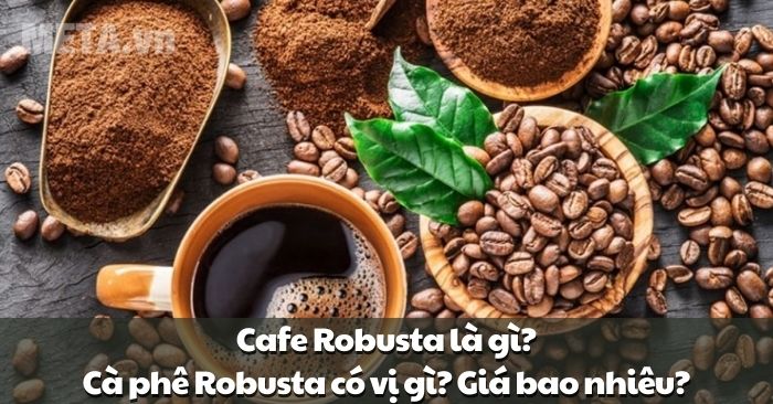 Cafe Robusta là gì? Cà phê Robusta có vị gì? Giá bao nhiêu? - META.vn