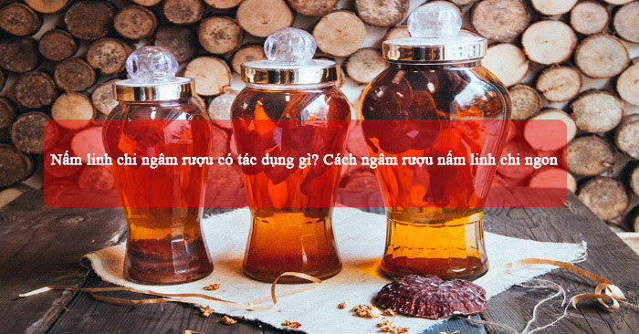 Nấm linh chi ngâm rượu có tác dụng gì? 3 Cách ngâm rượu nấm linh chi ngon