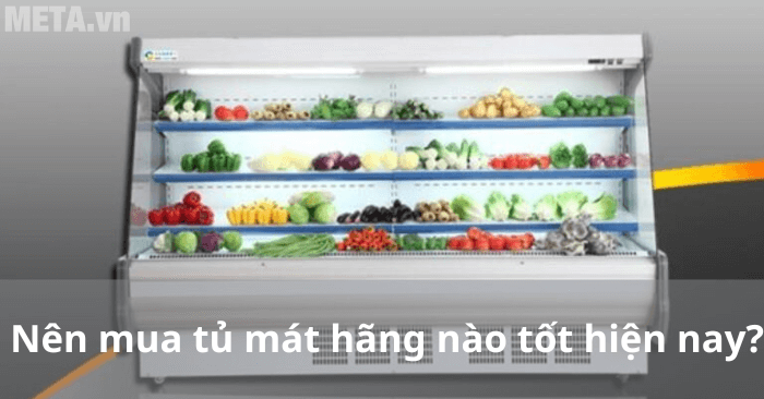 Tư vấn: Nên mua tủ mát hãng nào tốt hiện nay? - META.vn